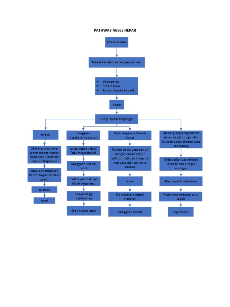 Pathway Abses Hepar | PDF
