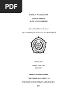 LP Urs (Uretronoscopy) | PDF