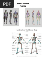 Músculos Del Torso | PDF | Sistema musculoesquelético | Anatomía humana