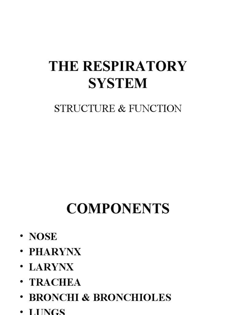 The Respiratory System Structure Function Pdf Lung Larynx
