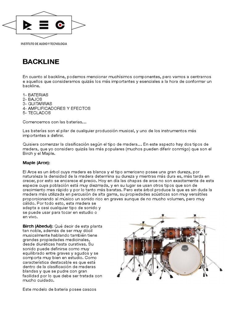 Guía Esencial de Backline Musical | PDF | Guitarras | Kit de batería
