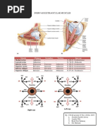 Upper Extremity PROM Exercises Guide | PDF | Anatomical Terms Of Motion ...