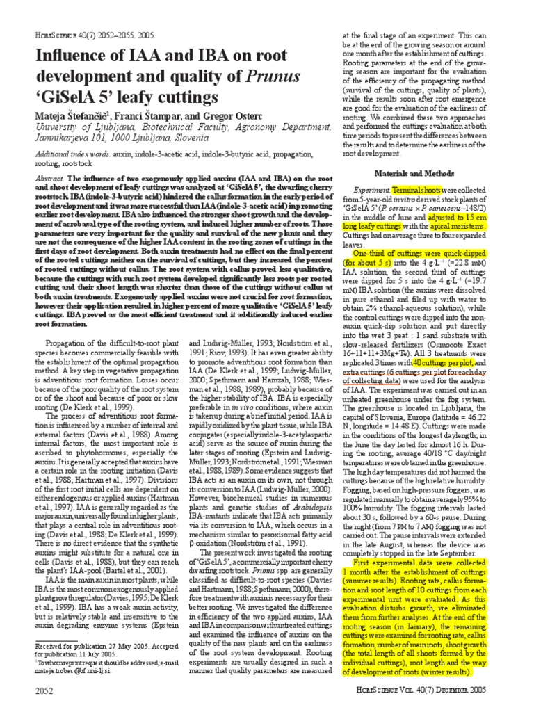 IAA IBA. Influence of IAA and IBA Root Development and Quality of ...