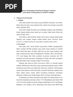 ASKEP Combustio Grade II | PDF