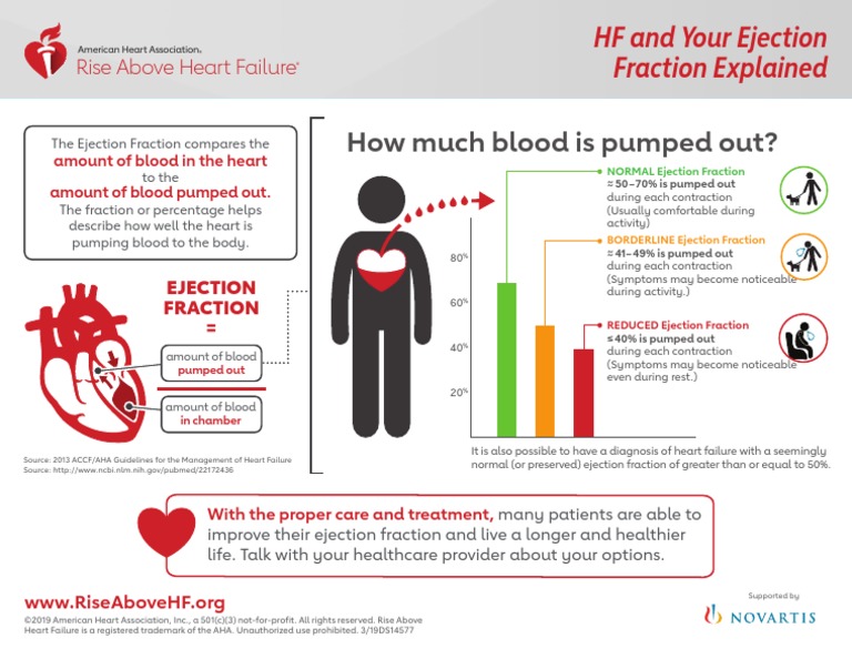 HF and Your Ejection Fraction Explained | PDF | Heart Failure ...