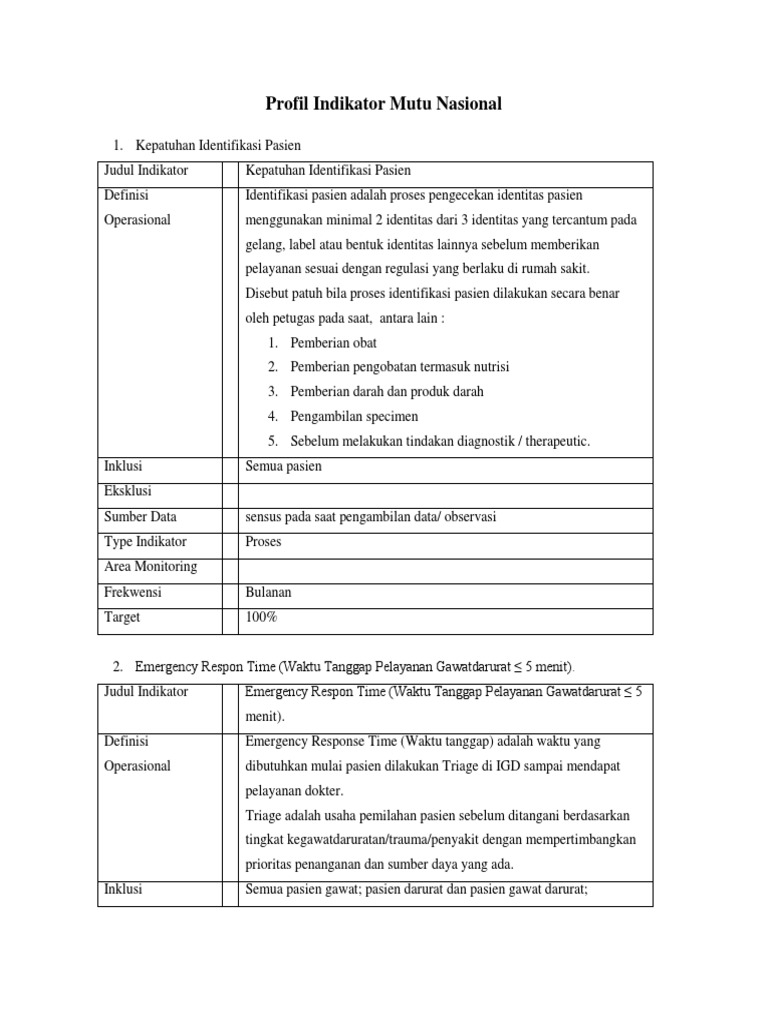 Profil Indikator Mutu Nasional | PDF