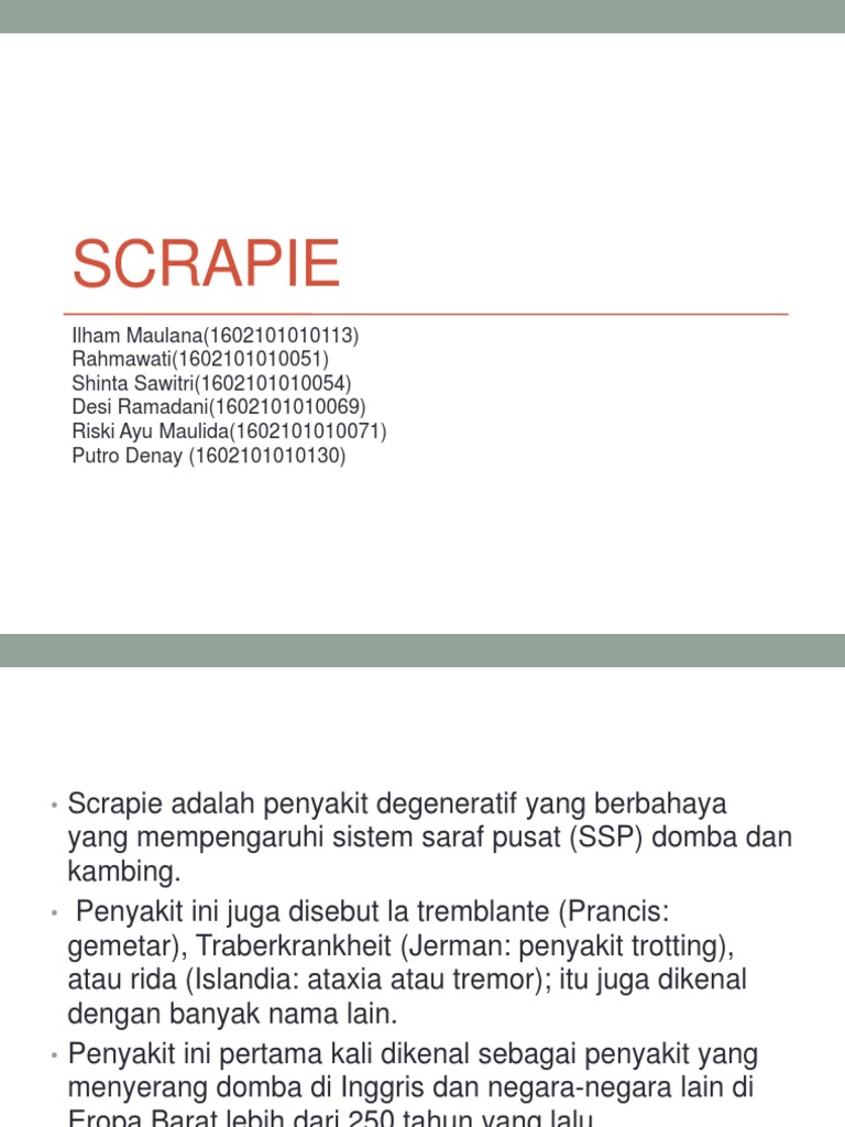 Scrapie: Penyakit Degeneratif Domba | PDF