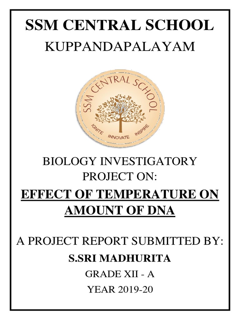 Biology Project Class 12 | PDF | Rna | Nucleotides