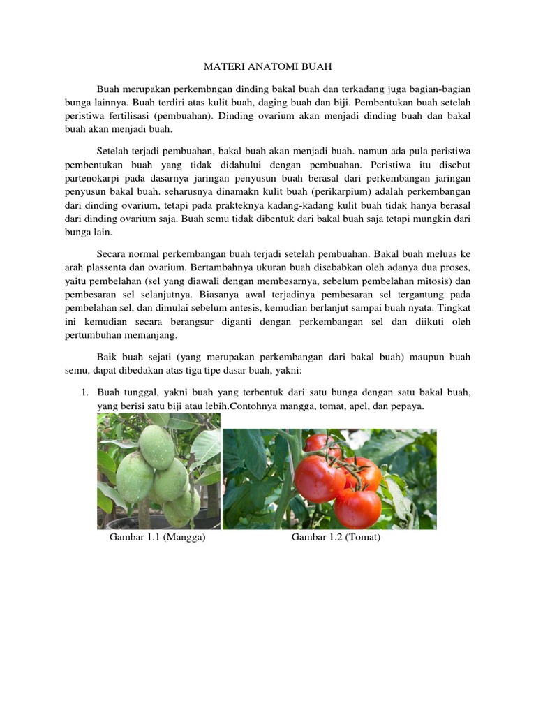 Struktur dan Anatomi Buah Sejati | PDF | Griya & Taman | Sains & Matematika
