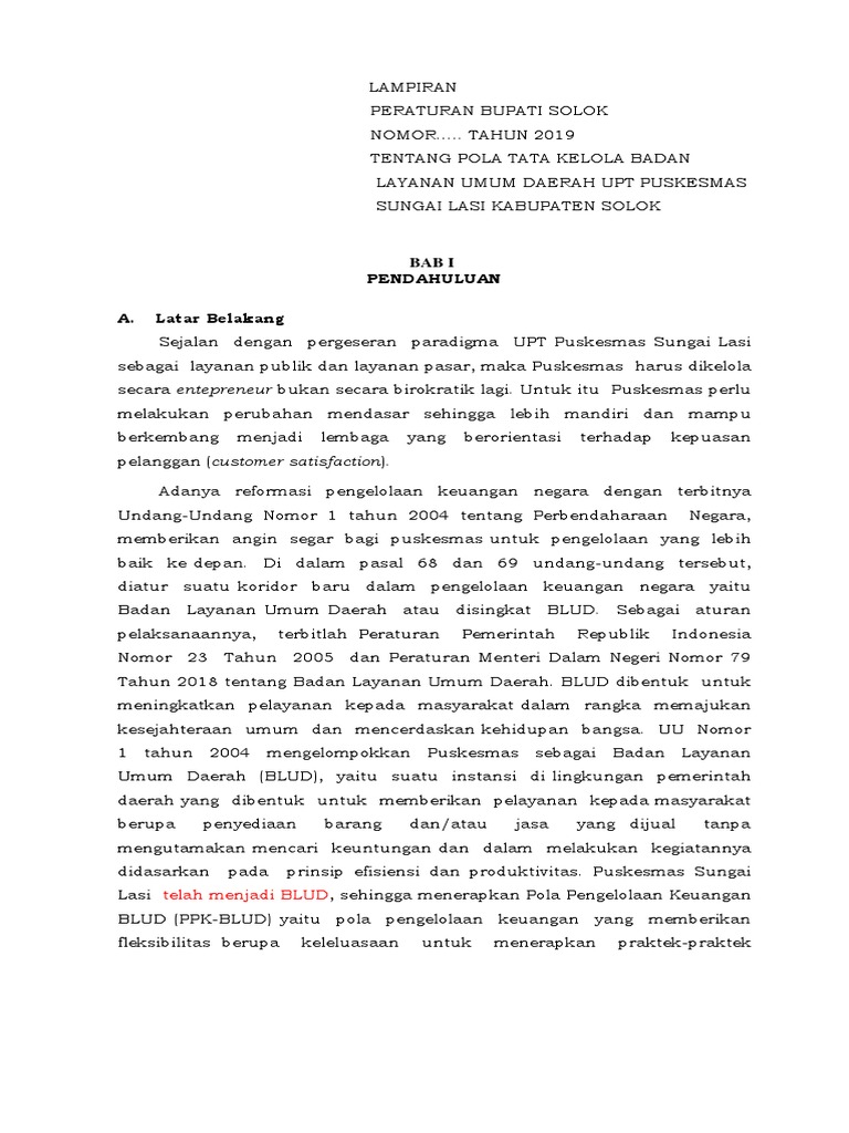TATA KELOLA BLUD S.Lasi | PDF