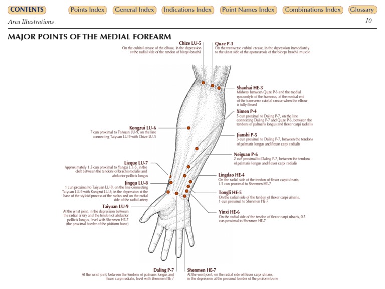 Major Points of the Medial Forearm: A Concise Reference Guide to ...
