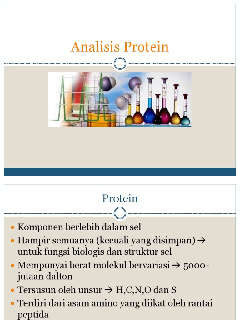 Analisis Protein | PDF