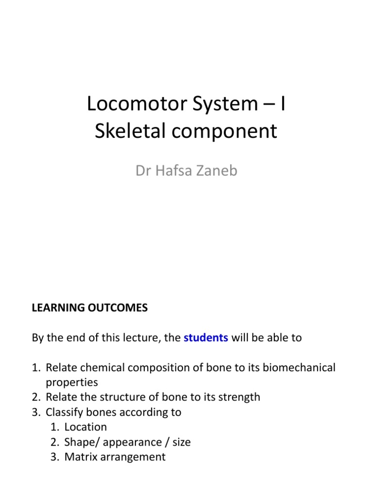 Osteology | PDF | Human Musculoskeletal System | Bone