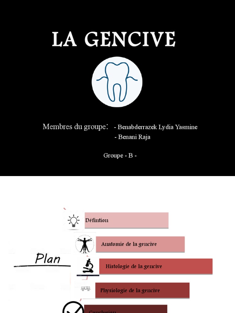 Anatomie et Histologie de la Gencive | PDF | Épithélium | Macrophage