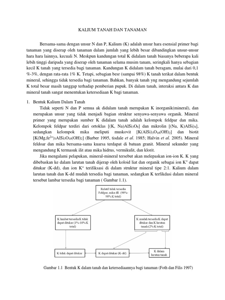 Ketersediaan Kalium untuk Tanaman | PDF | Ilmu Sosial | Sains & Matematika