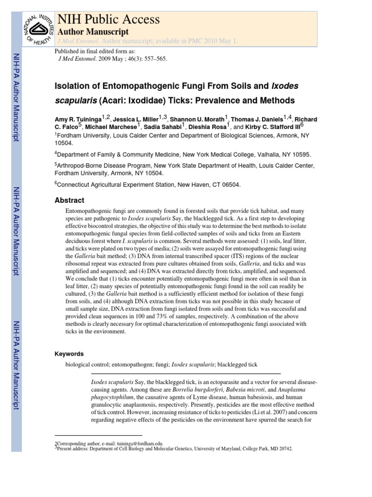 Isolation of Entomopathogenic Fungi From Soils and Ixodes | PDF | Fungus | Polymerase Chain Reaction