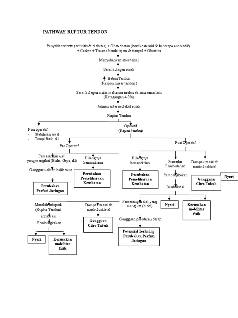 Woc Ruptur Tendon | PDF