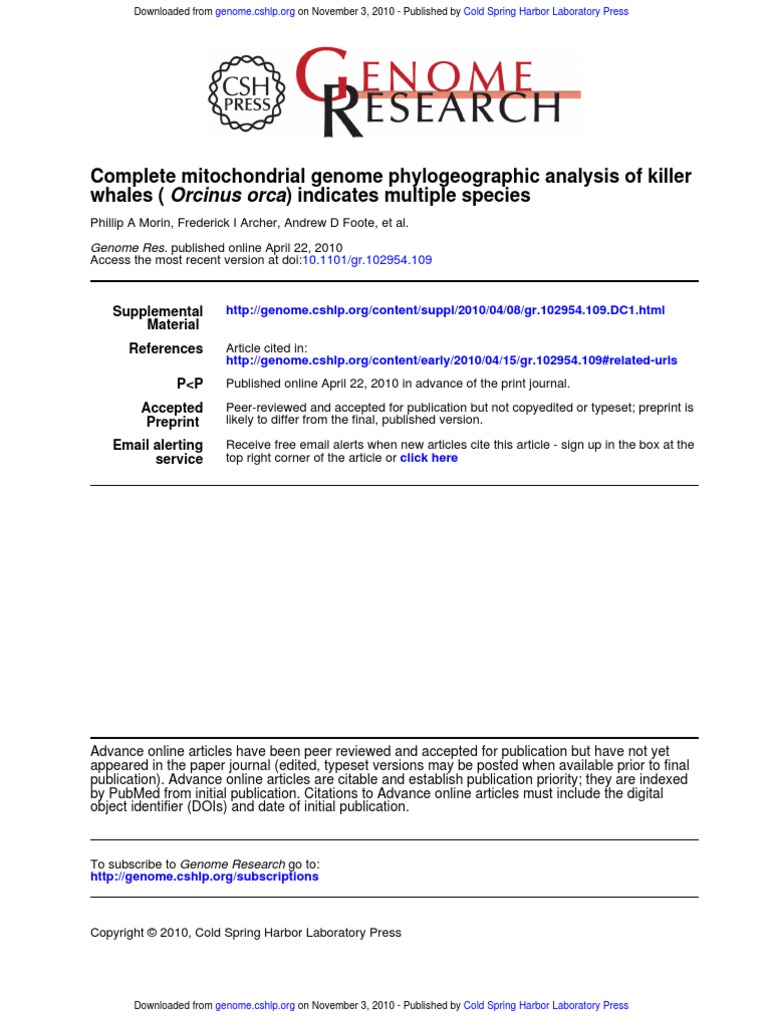 Orca mitDNA | PDF | Mitochondrial Dna | Killer Whale
