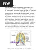 Anatomi Rongga Thorax | PDF