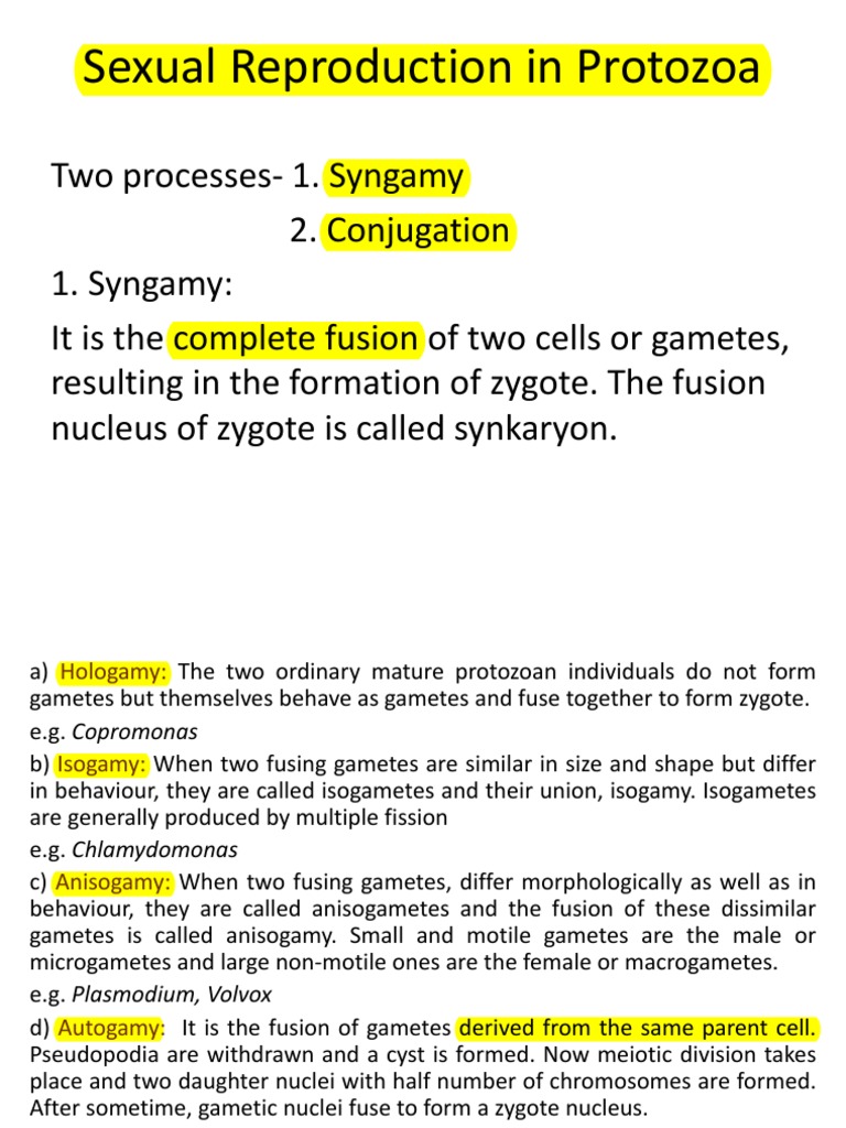 Sexualreproductioninprotozoa 171019143424 | Download Free PDF | Cell ...