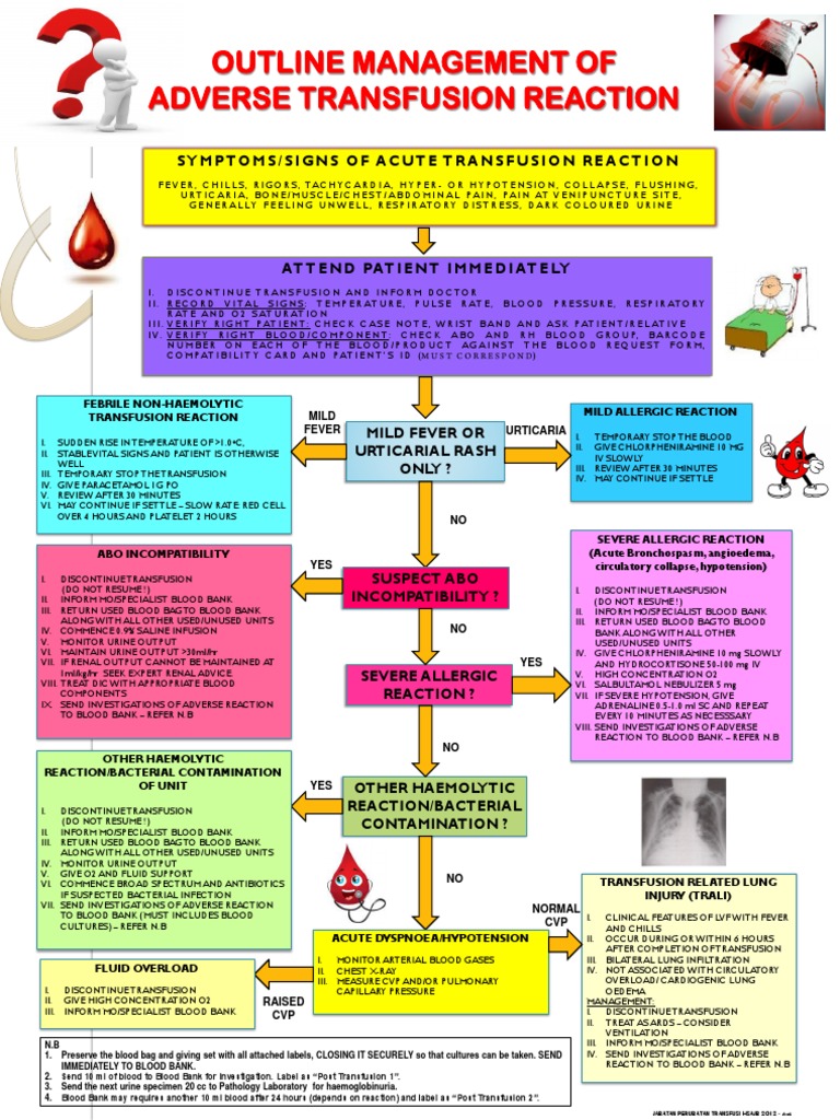 Transfusion Reaction PDF | PDF | Blood | Blood Transfusion