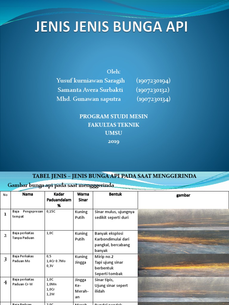 JENIS JENIS BUNGA API Teknik Mesin-1 | PDF