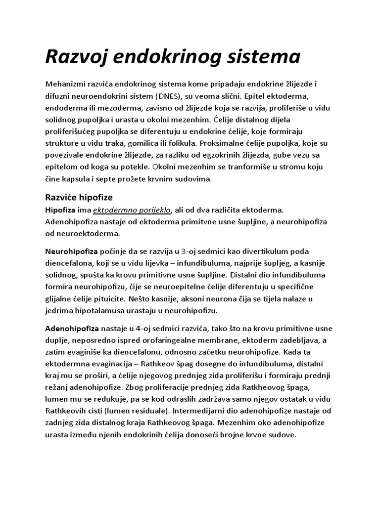 Razvoj Endokrinog Sistema | PDF