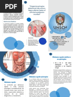 Triada Clásica de la Diabetes | PDF | Diabetes | Medicina CLINICA
