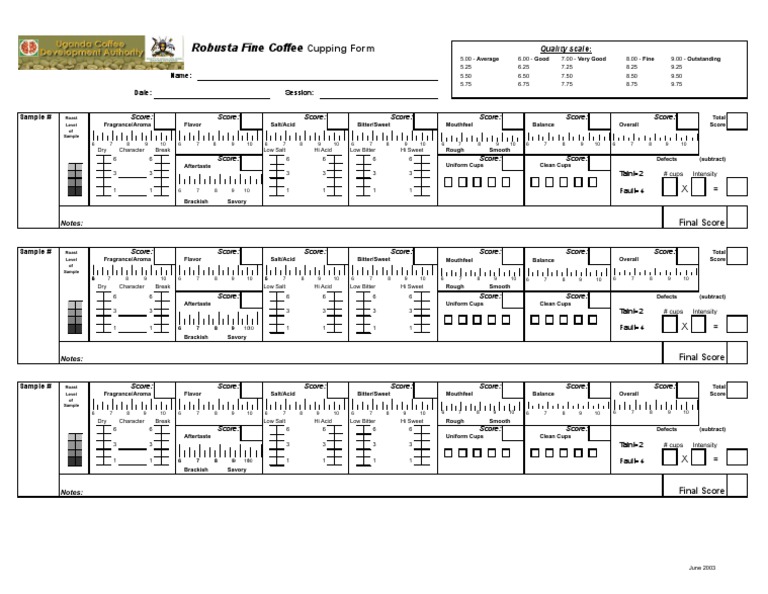 Robusta Cupping Form | Download Free PDF | Flavor | Food Science