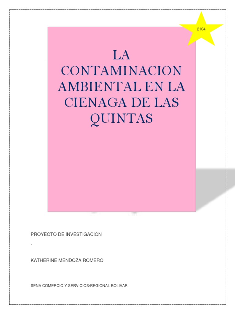 Proyecto Contaminacion Cienaga de La Quinta-2 | PDF | Residuos | La ...