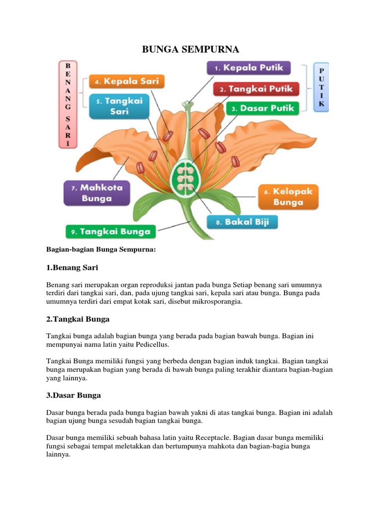 Bunga Sempurna | PDF