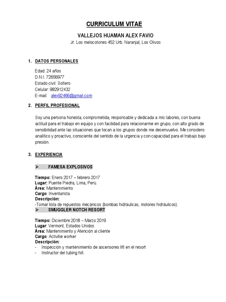 CV Alex Vallejos PDF | PDF