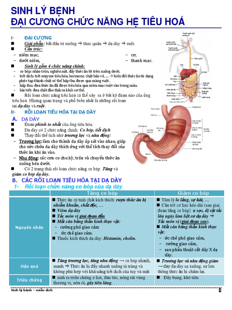 (123doc) - Sinh-Ly-Benh-Dai-Cuong-Chuc-Nang-He-Tieu-Hoa PDF | PDF