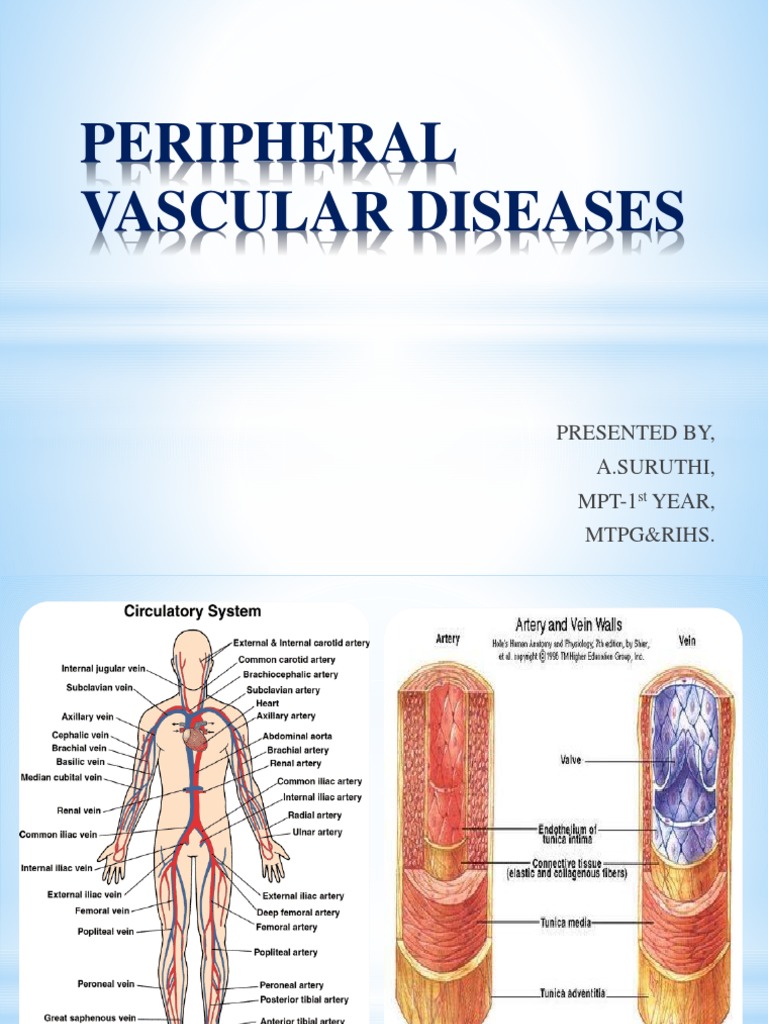 Peripheral Vascular Disorders Guide | PDF | Ischemia | Circulatory System