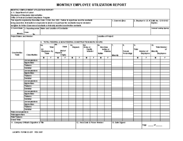 Monthly Employment Utilization Report | PDF | Race And Ethnicity In The ...