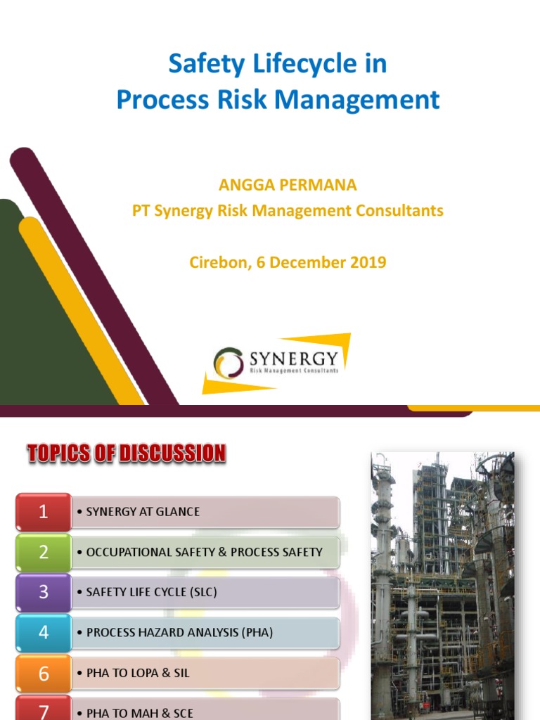 Safety Lifecycle in Risk Management | PDF | Reliability Engineering ...