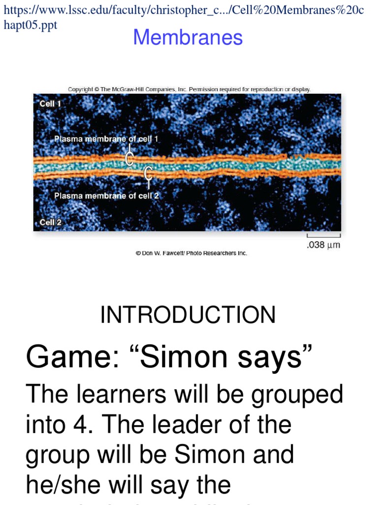 Lesson 5. Cell Transport NOTES | PDF | Cell Membrane | Osmosis