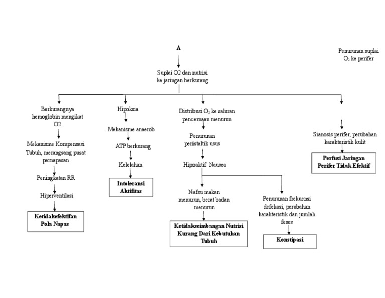 PATHWAY Anemia 2 | PDF