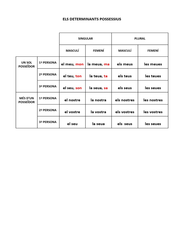 Els Determinants Possessius | PDF