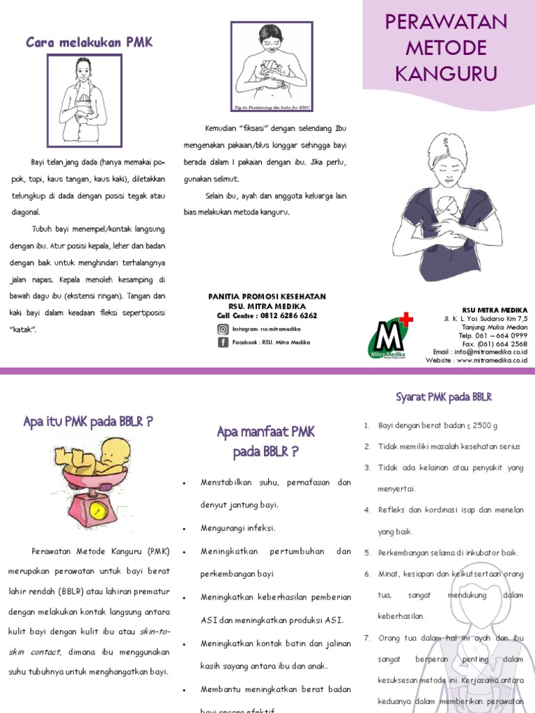 Leaflet PMK | PDF