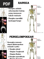 LKPD Sistem Rangka Manusia | PDF