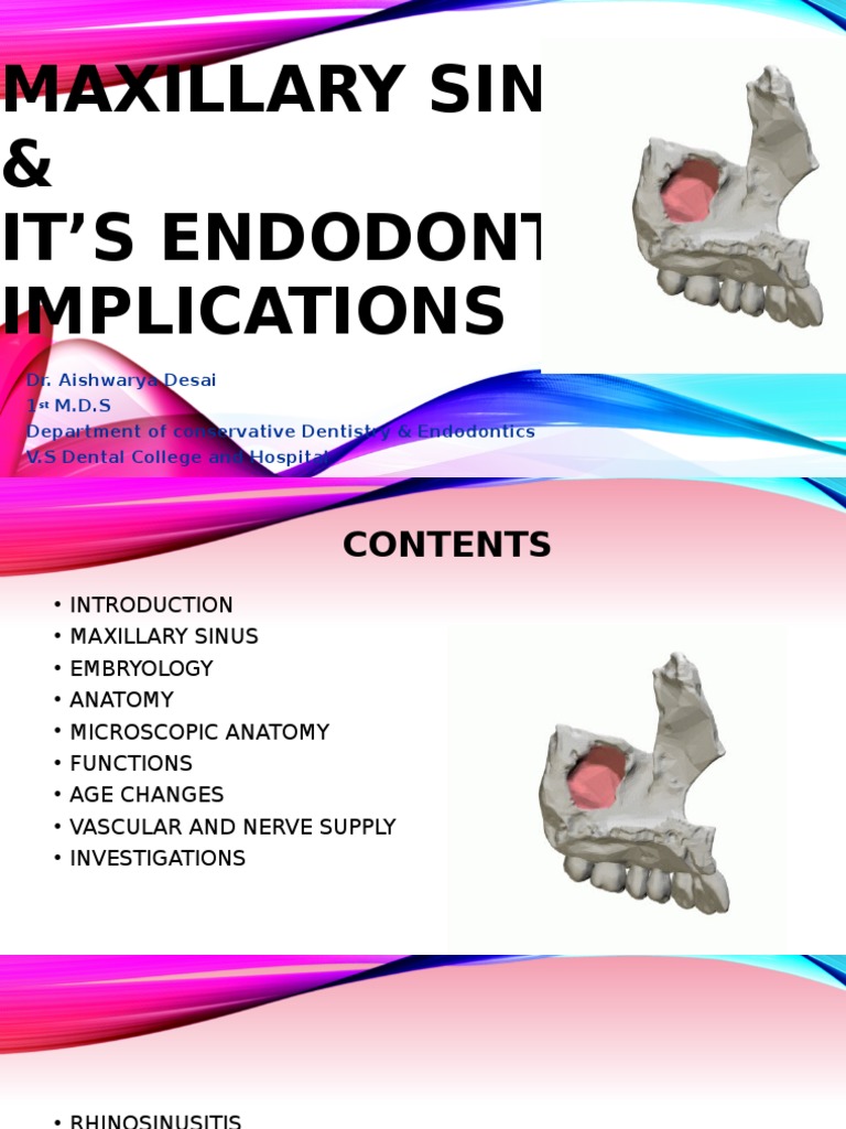 Max Sinus | PDF | Epithelium | Human Nose