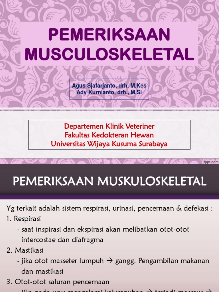 Pemeriksaan Musculoskeletal | PDF