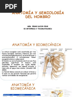 Clasificación de Bigliani en Los Tipos de Acromion | PDF