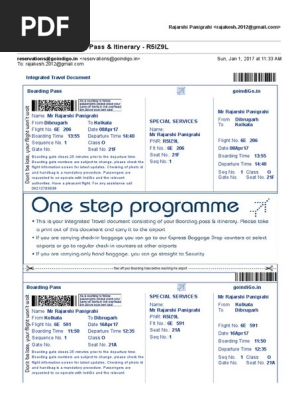 Indigo Boarding Pass