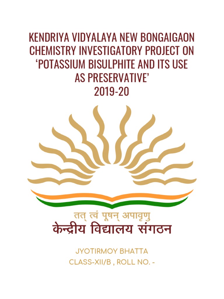 Chemistry Project Cover Page 2019-20 | PDF | Science & Mathematics