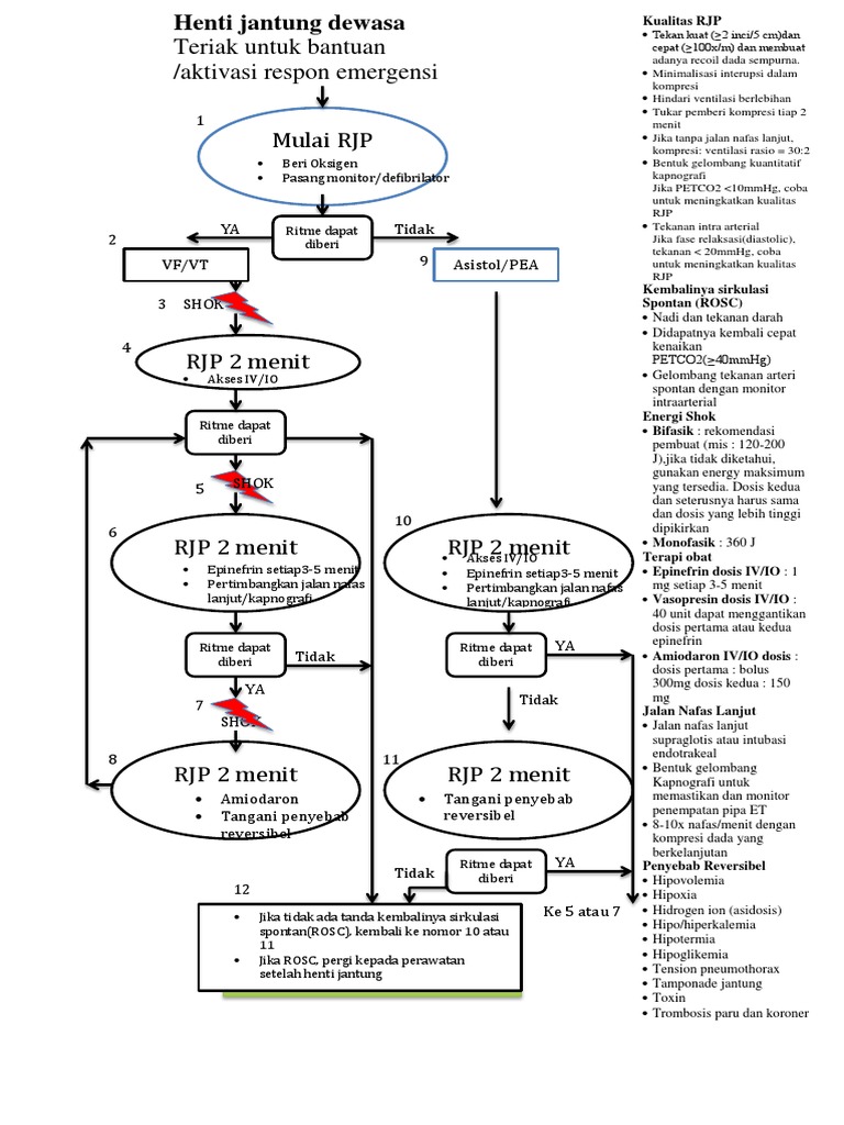 Algoritma Resusitasi Jantung Paru | PDF