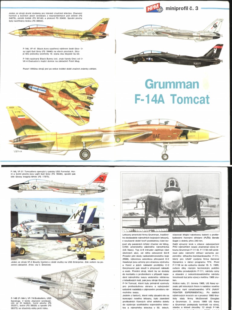 Mini Profile - Grumman-F-14a-Tomcat | PDF