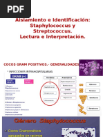 Prueba de Optoquina para Neumococos | PDF | Estreptococo | Microbiología