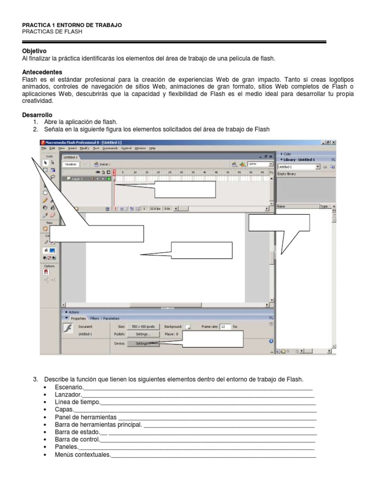 Practica Flash para Imprimir | PDF | Red mundial | Internet y web